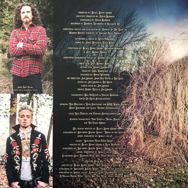 Buy Black Stone Cherry : Family Tree (2xLP, Album, Ltd, Yel) online for ...